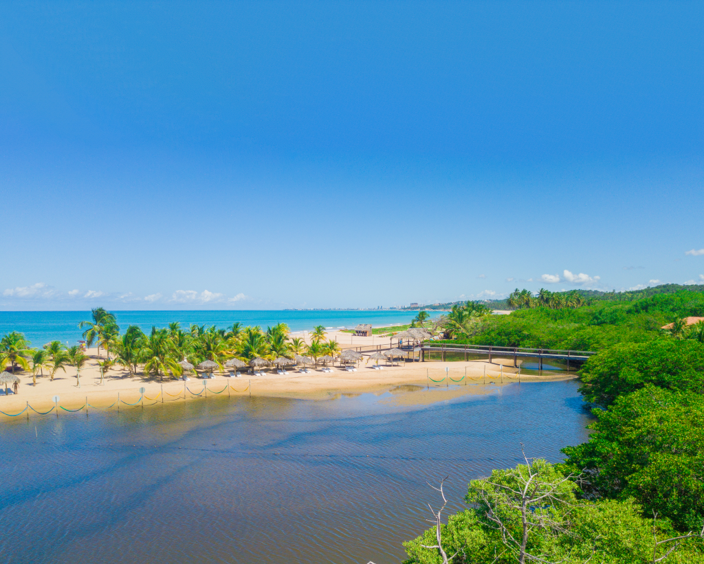 O Manguezal do Pratagy: O ecossistema que abraça o resort - Pratagy ...